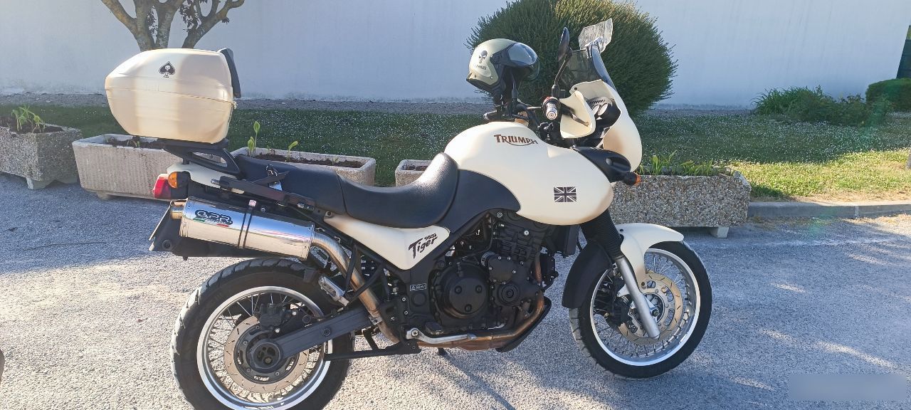 TRIUMPH TIGER 955 - Marne - Bonnie&Car occasion